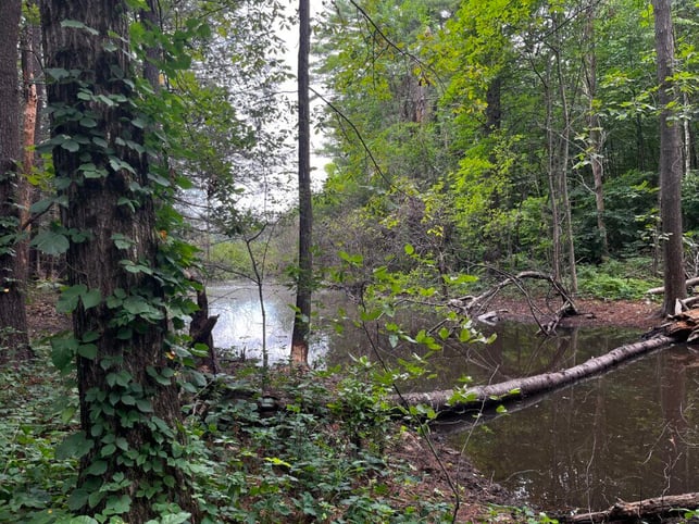 The Black Heritage Trail of New Hampshire is celebrating the national ...